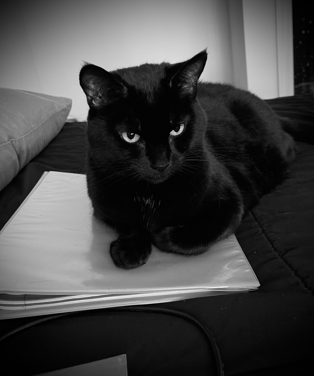 30 Tips for Writers, Editors, and Everything in Between – K. Watkins